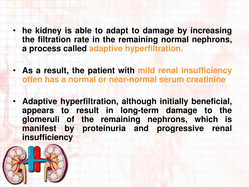 PPT - Overview of chronic kidney disease in adults PowerPoint ...