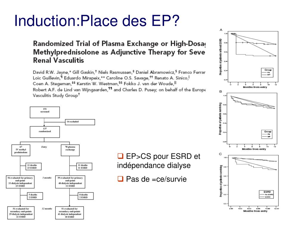 PPT - Vascularites systémiques Aspects thérapeutiques PowerPoint ...