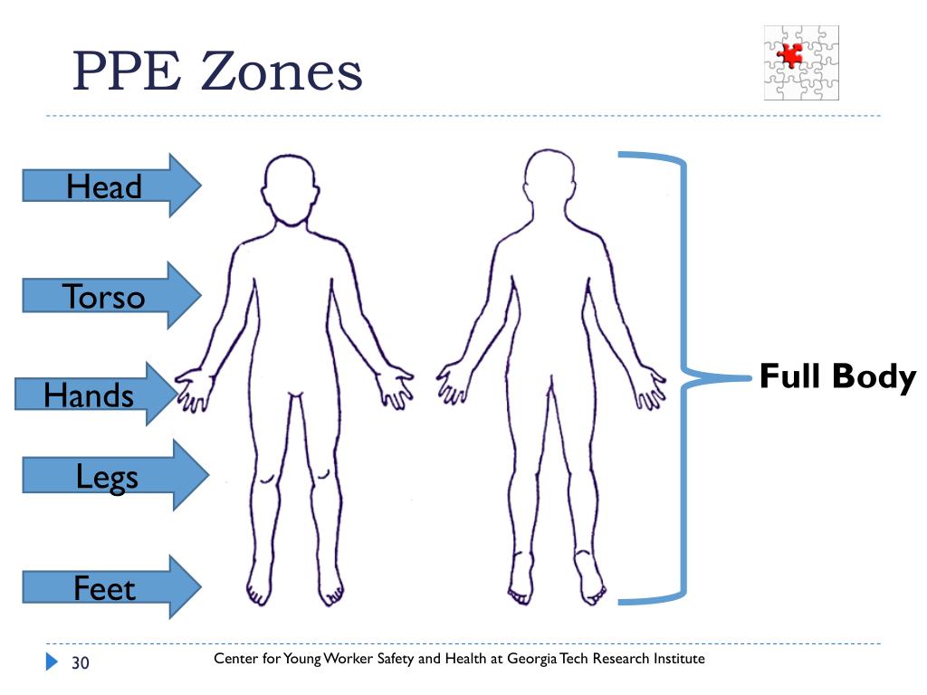 PPT - A Primer for Young Worker Safety and Health Training PowerPoint ...
