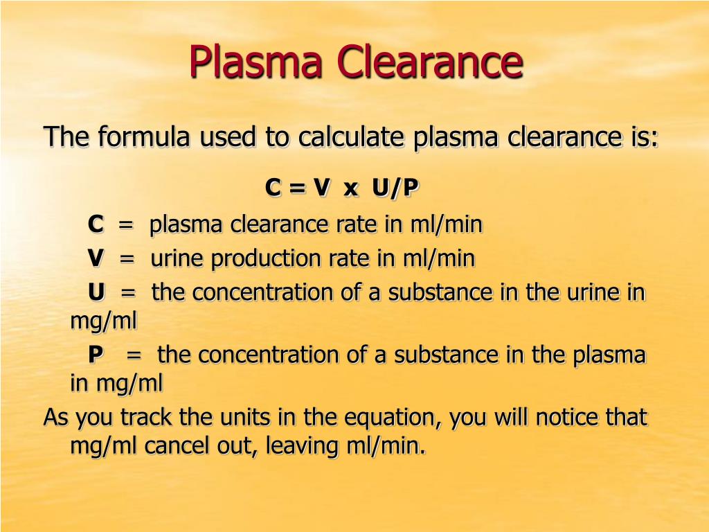 PPT - Regulation of kidneys work. Role of kidneys in homeostasis ...