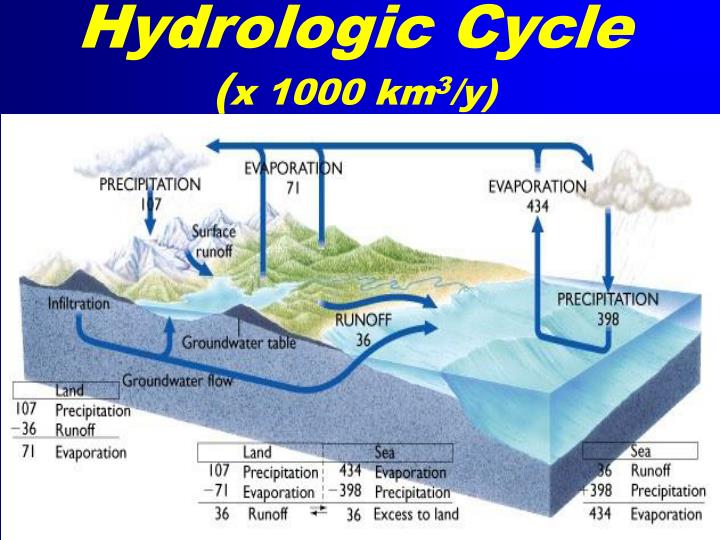 PPT - Groundwater and the Hydrologic Cycle PowerPoint Presentation - ID ...