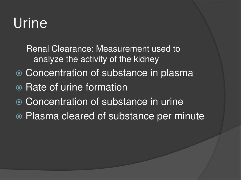 PPT - The Renal System PowerPoint Presentation, free download - ID:3599533