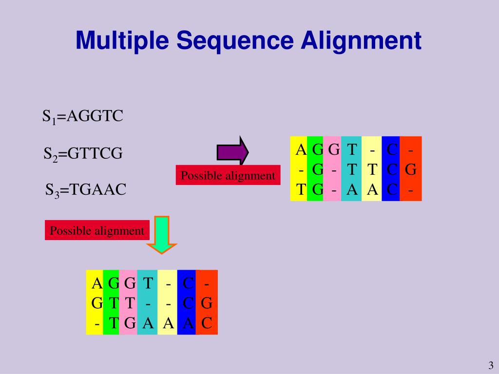 PPT - Multiple Sequence Alignments PowerPoint Presentation, free ... PPT - Multiple Sequence Alignments PowerPoint Presentation, free ...