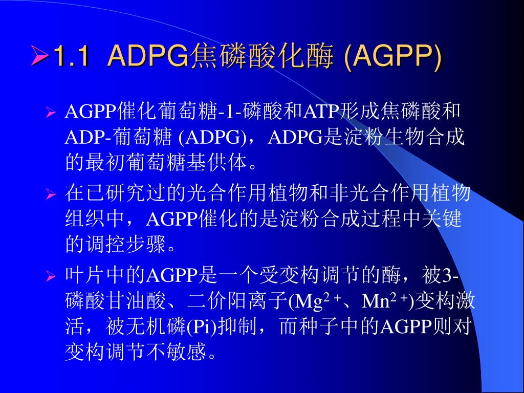 PPT - 水稻淀粉合成的分子生物学研究进展 PowerPoint Presentation - ID:3599999