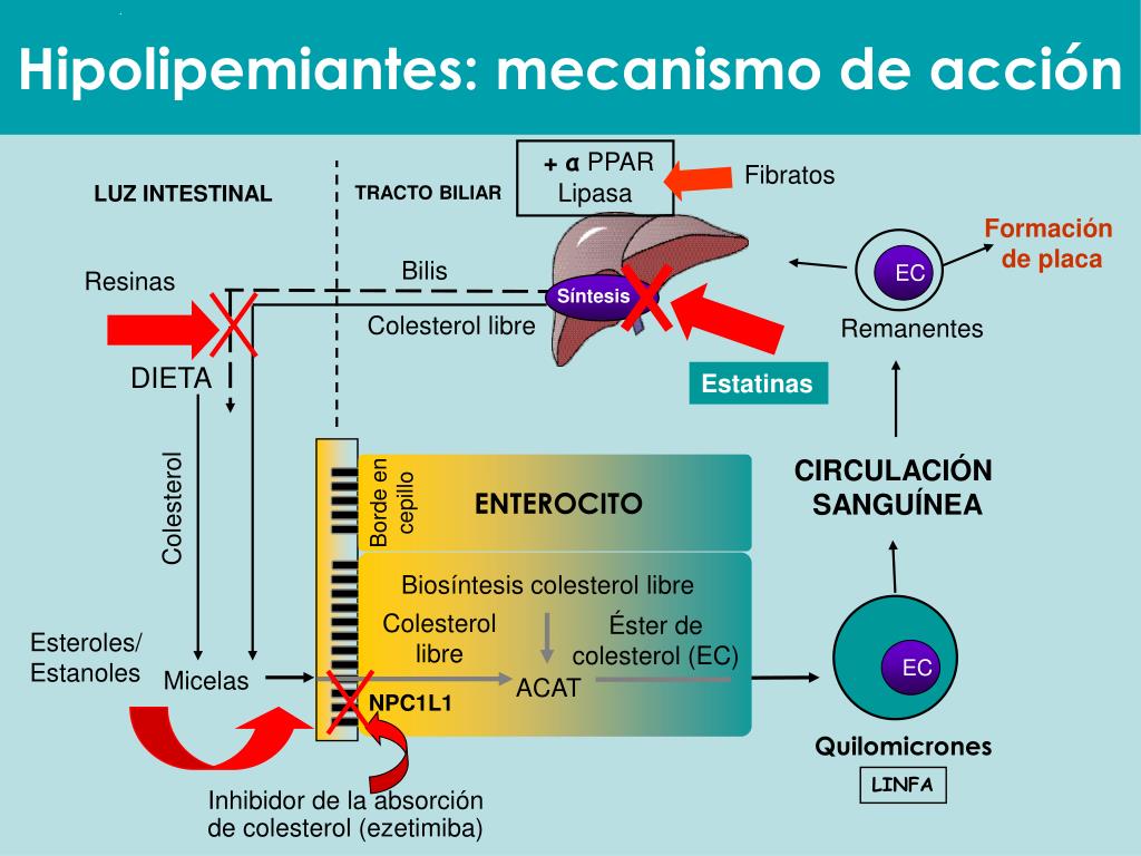 Nitroprussiato Para Que Serve - LIBRAIN