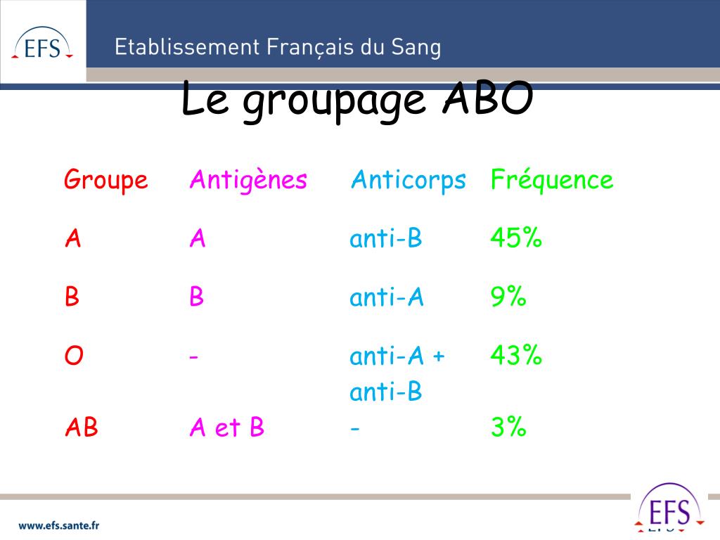 PPT - FORMATION PRATIQUE AU CONTROLE ULTIME PRE- TRANSFUSIONNEL PowerPoint Presentation - ID:3600367