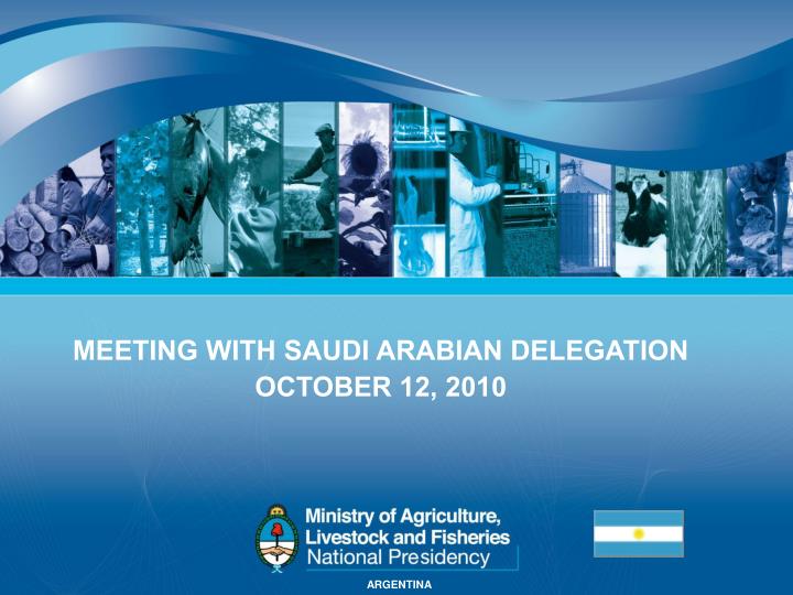 PPT - MEETING WITH SAUDI ARABIAN DELEGATION OCTOBER 12, 2010 PowerPoint ...