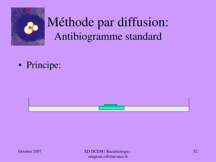 PPT - ANTIBIOTIQUES (pré-requis) PowerPoint Presentation - ID:3600392