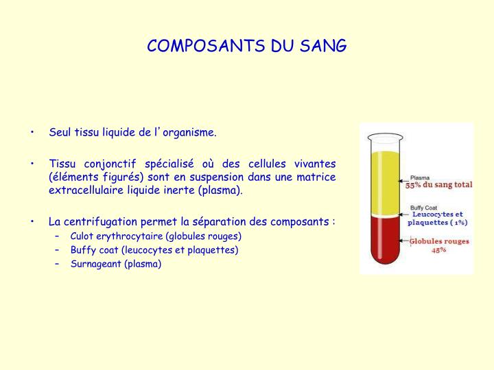 PPT - BASES ANATOMIQUES ET PHYSIOLOGIQUES DES COMPOSANTS DU SANG ...