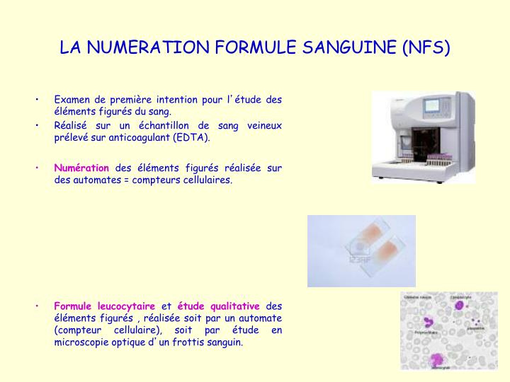 PPT - BASES ANATOMIQUES ET PHYSIOLOGIQUES DES COMPOSANTS DU SANG ...