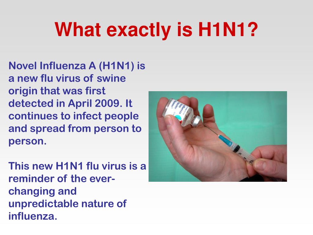 PPT - Novel H1N1 Influenza A Virus PowerPoint Presentation, free ...