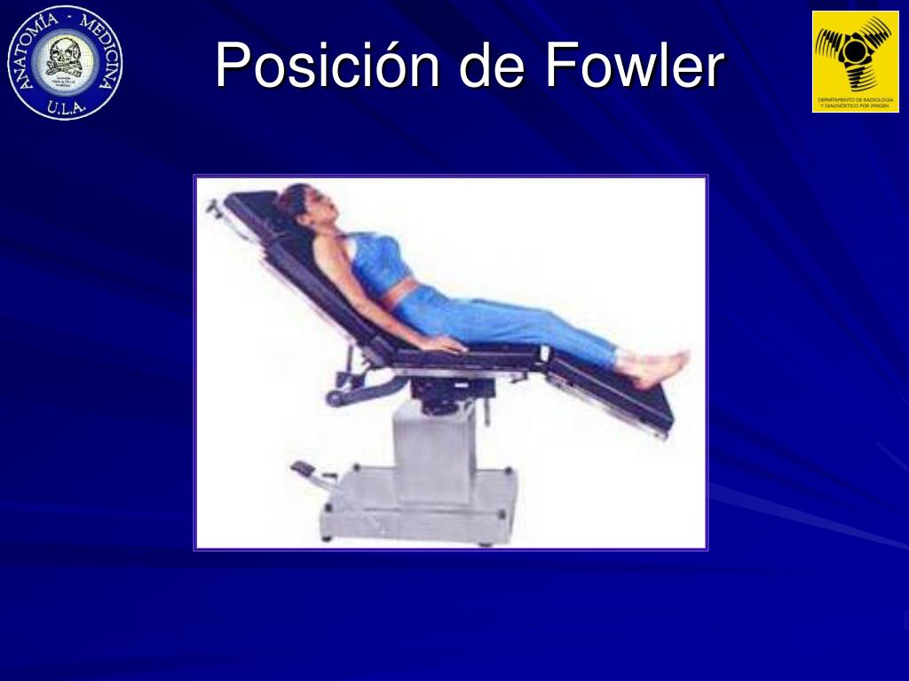 PPT - Definiciones Anatómicas Ejes y Planos de Construcción La Posición ...