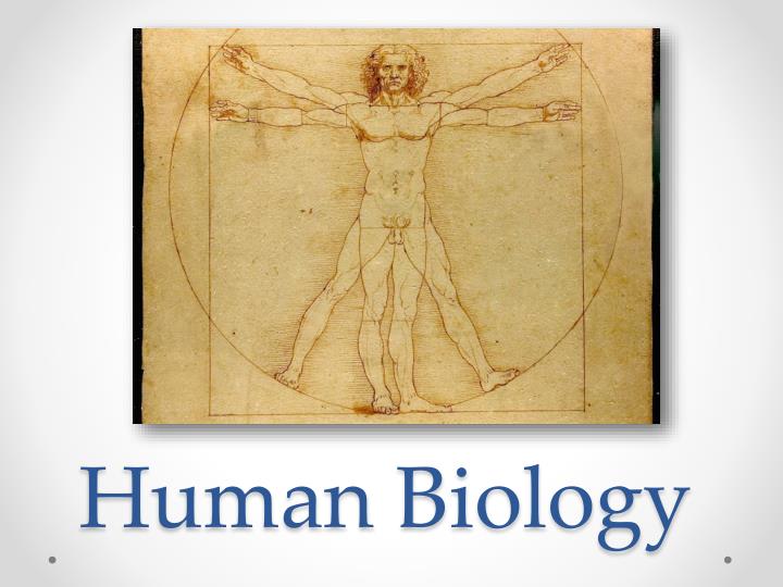 PPT - Human Biology PowerPoint Presentation, free download - ID:3600846
