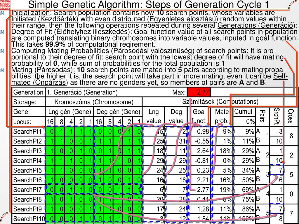 PPT - BioInformatics Consultation Practice 4 Gá bor Pauler , Ph.D. Tax ...