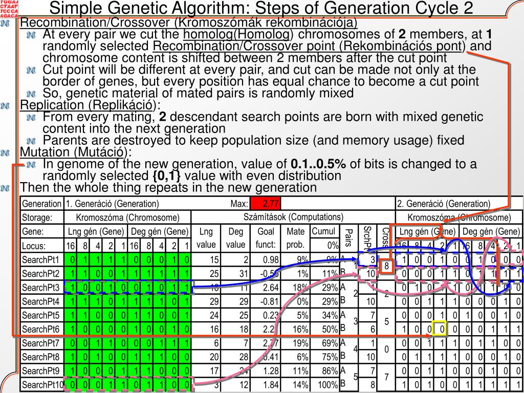 PPT - BioInformatics Consultation Practice 4 Gá bor Pauler , Ph.D. Tax ...