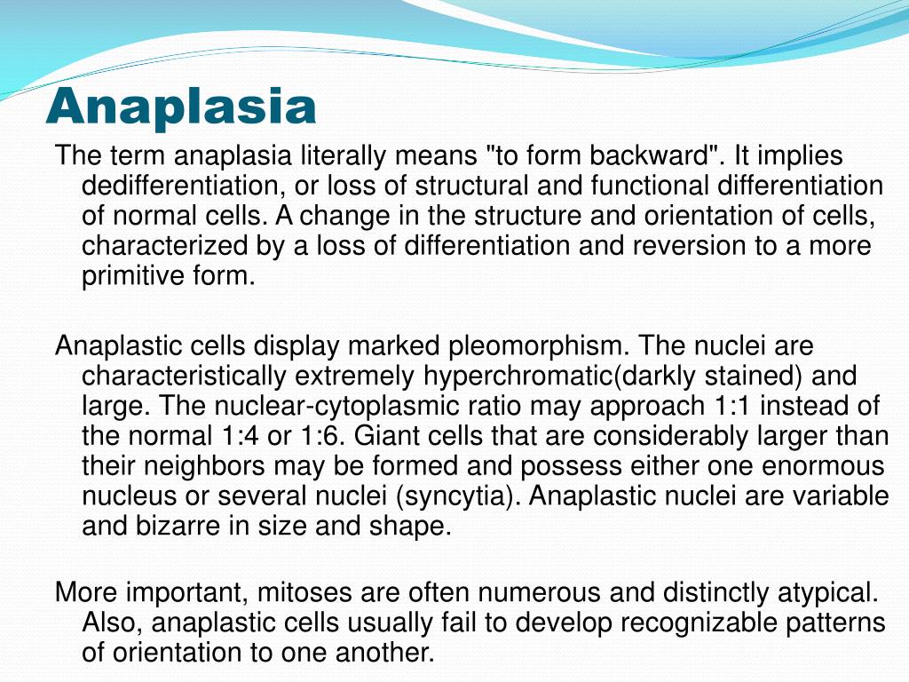 PPT - Cancer Biology & Therapy PowerPoint Presentation, free download ...