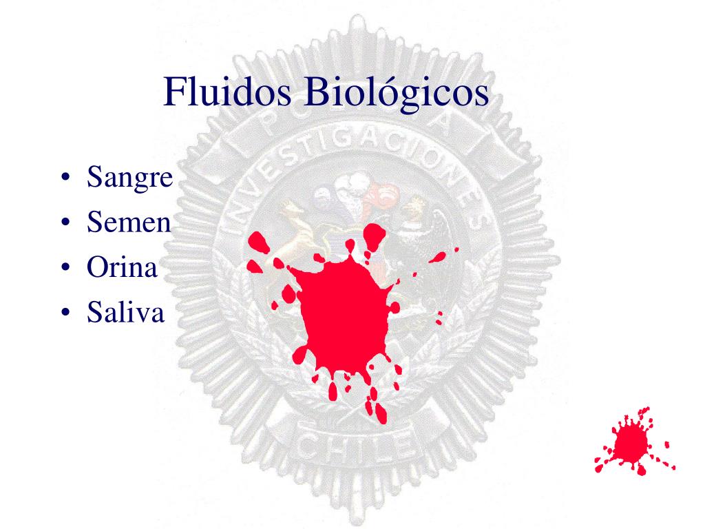 PPT - PERICIAS FORENCES LABORATORIO DE CRIMINALISTICA CENTRAL ...