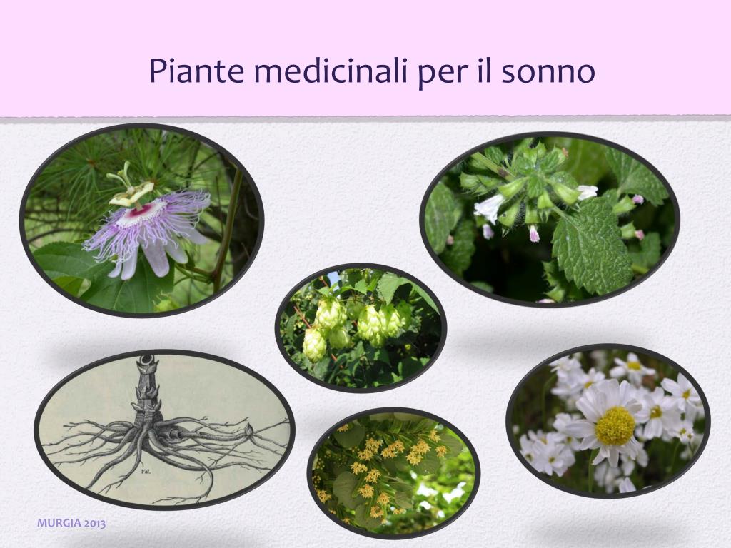 PPT - Vantaggi e svantaggi degli integratori alimentari nei disturbi ...