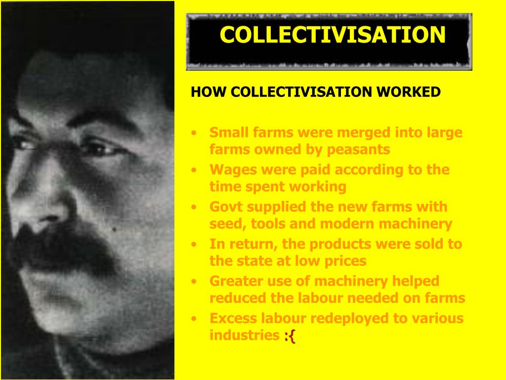 PPT - STALIN & his policies PowerPoint Presentation, free download - ID ...