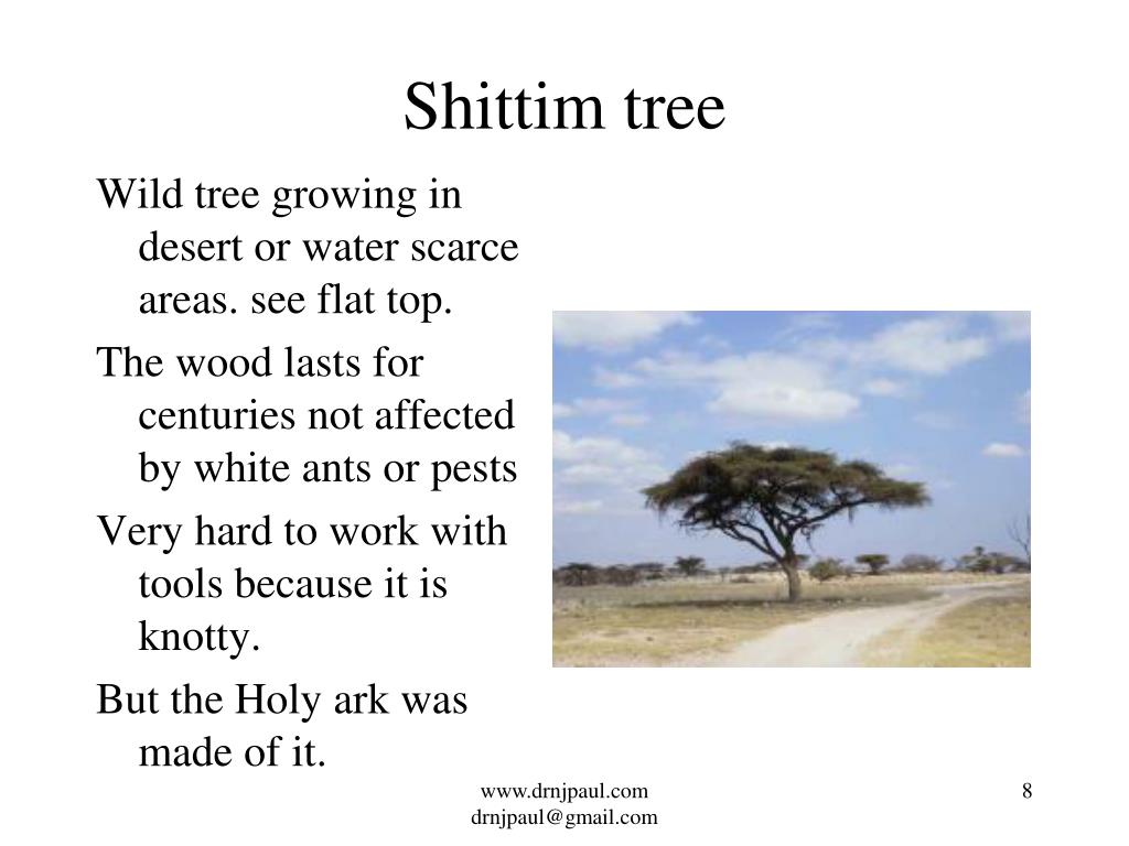 PPT - The travel Travel of the tabernacle with the people in the desert ...