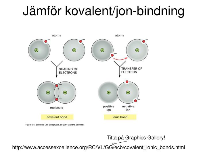 PPT - Kemiska bindningar PowerPoint Presentation - ID:3602236